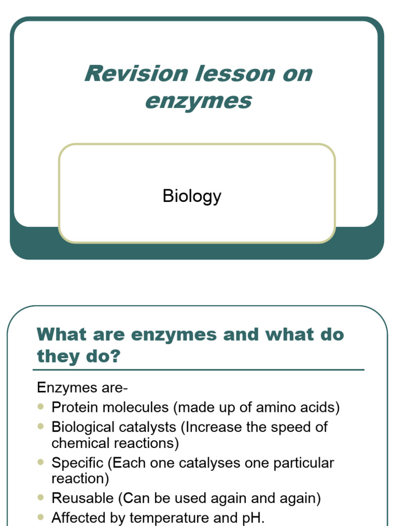 Enzymes: Functions and Applications | PDF | Enzyme | Digestion