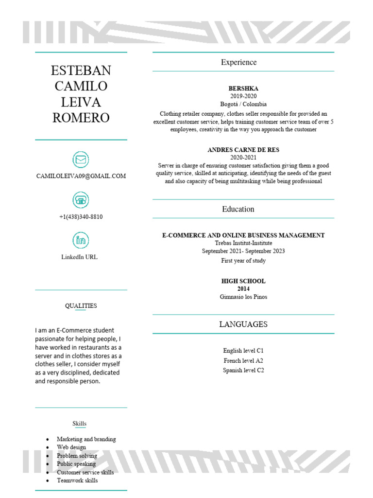 Esteban Camilo Leiva Romero CV Template | PDF
