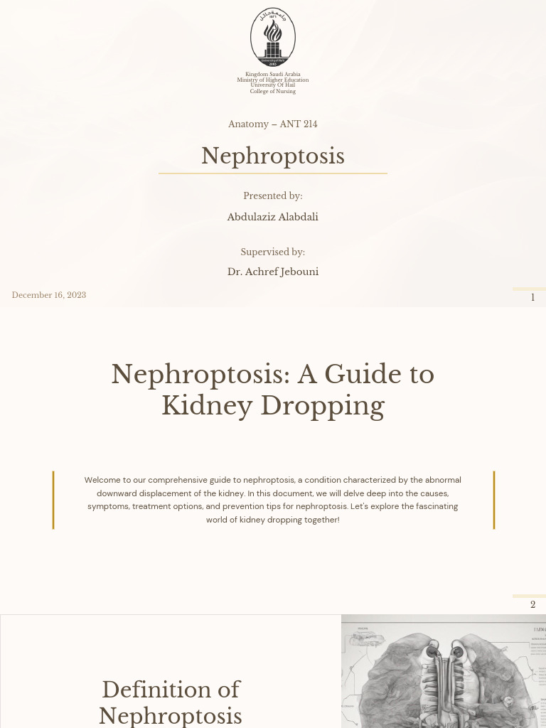 Nephroptosis | PDF | Kidney | Clinical Medicine