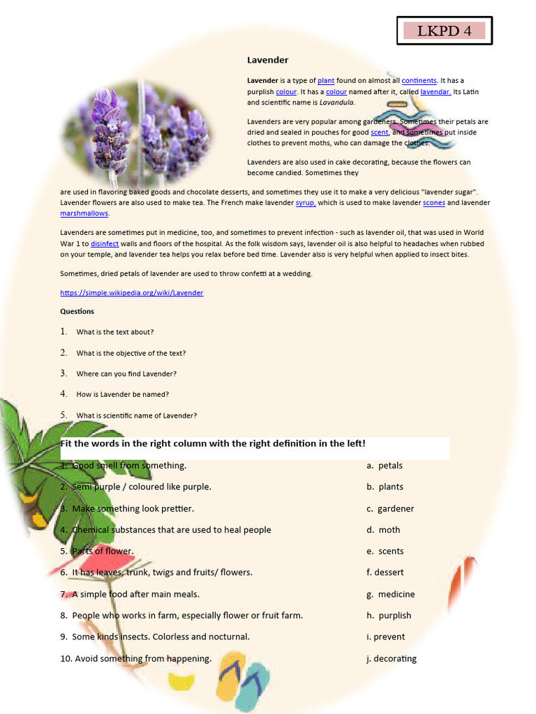LKPD 4 B.ing LM | PDF | Lavandula | Foods