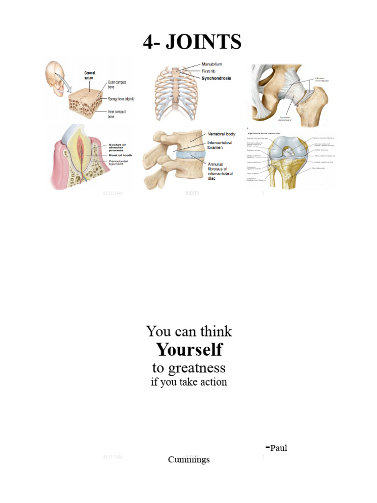 4 - Joint | PDF | Anatomical Terms Of Motion | Joint