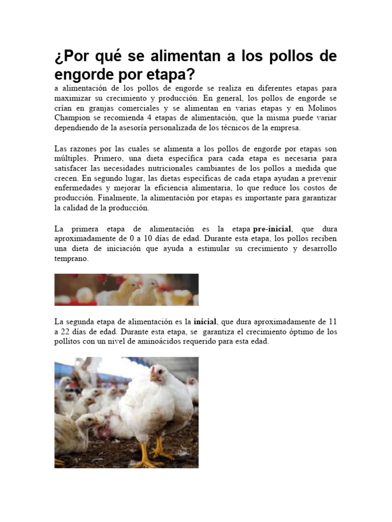 Alimentos para Pollo | PDF