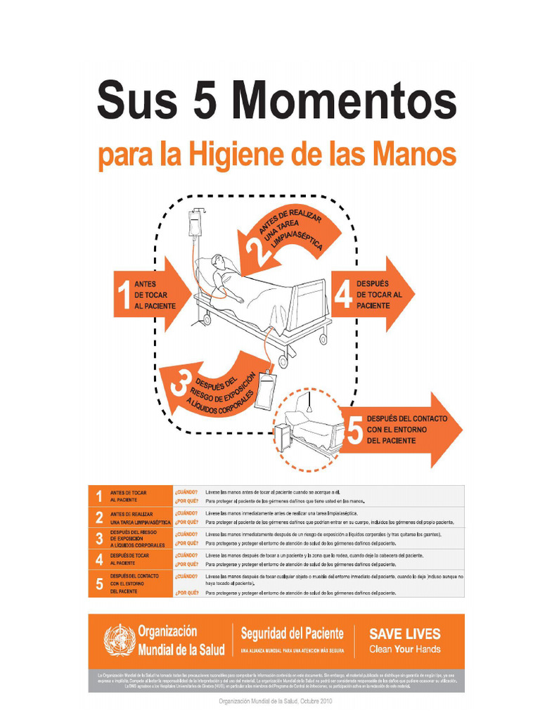 5 MOMENTOS PARA EL LAVADO DE MANOS | PDF
