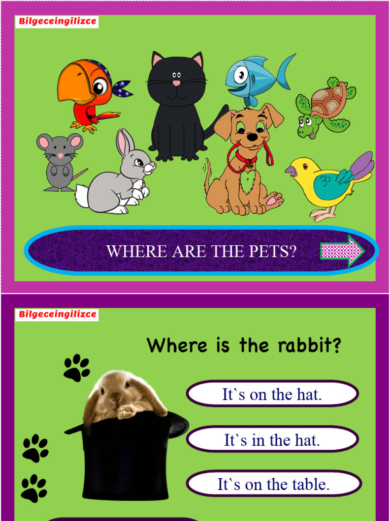 Pets PPT Game Fun Activities Games Games Grammar Drills Grammar 96931 | PDF