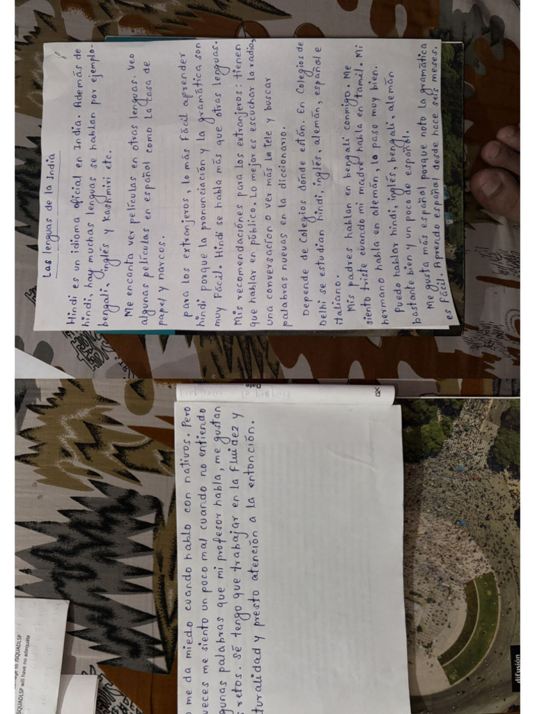 IMG_0214 (2 files merged) | PDF