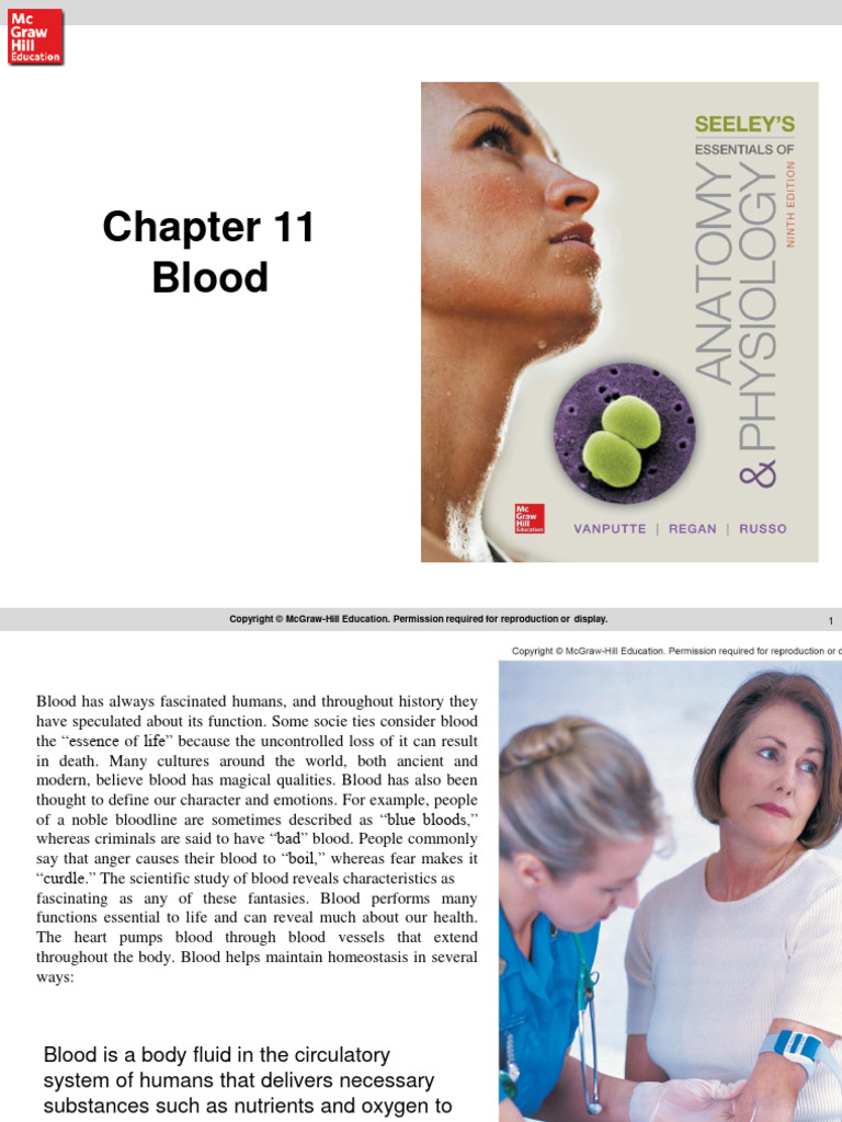 Chapter 11 Blood | PDF | Granulocyte | Coagulation