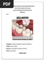 Selladores de Fosetas y Fisuras en Odontología | PDF | Esmalte de ...