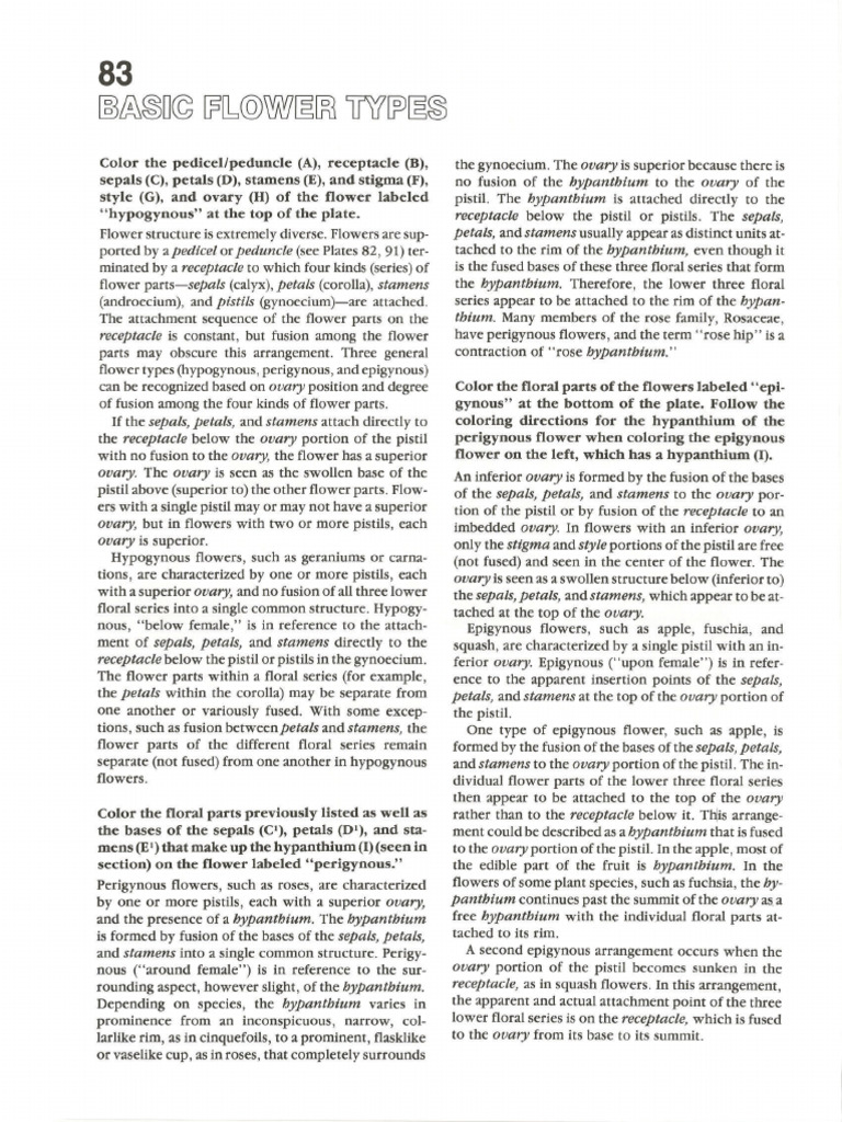 Unit 1 Ch1-4 Botany Worksheets - PG13-14 | PDF