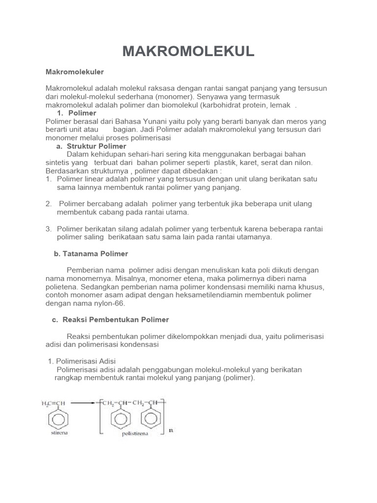 MAKROMOLEKUL | PDF