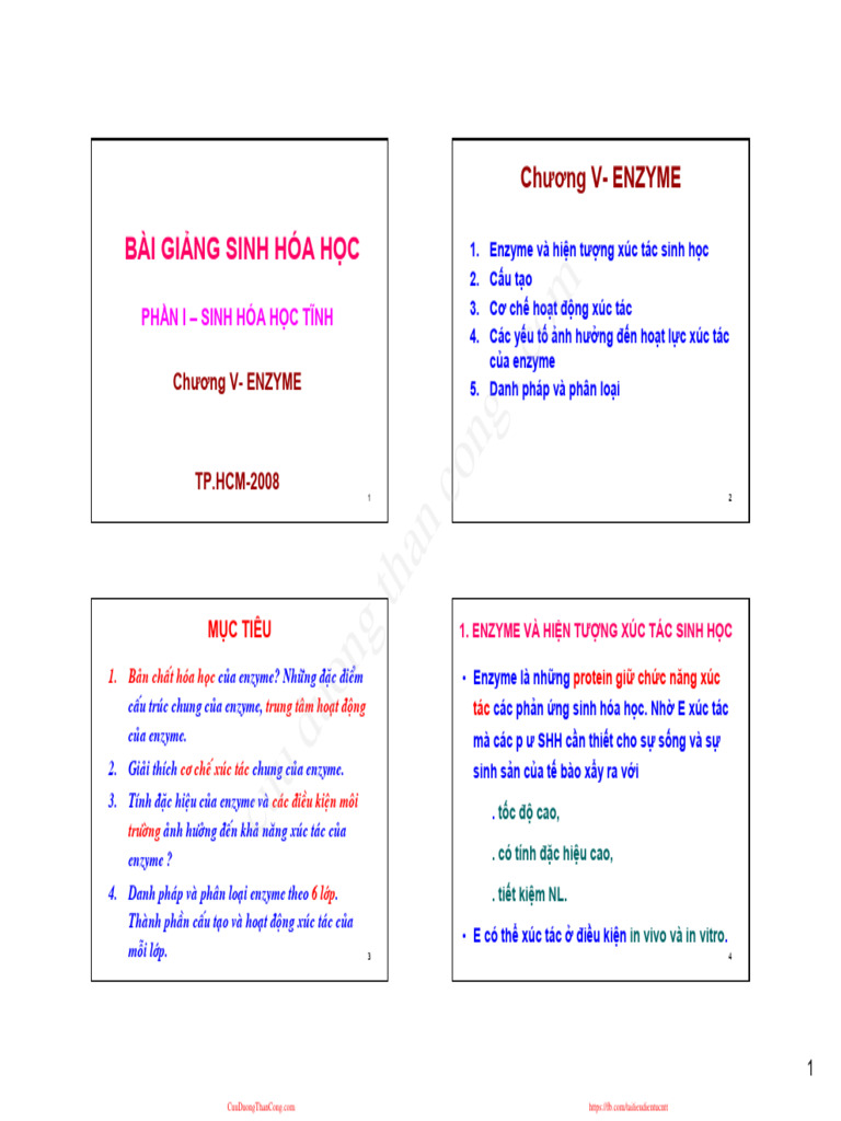 Sinh Hoa Dai Cuong Nguyen Phuoc Nhuan b5 Enzyme (Cuuduongthancong - Com) | PDF