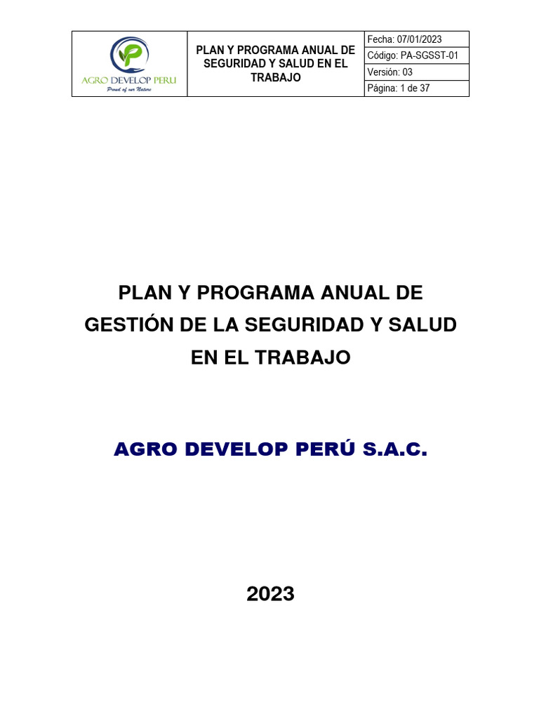 Plan y Programa Anual de Gestión de La Seguridad y Salud en El Trabajo | PDF | Seguridad y salud ...