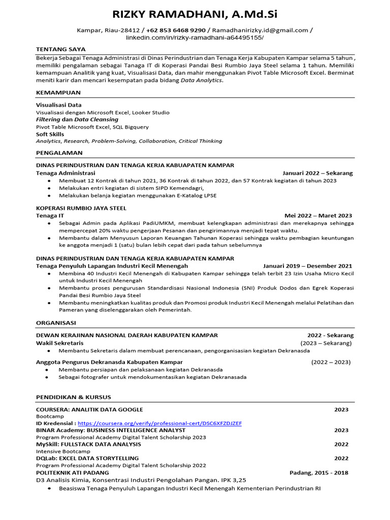 Rizky Ramadhani - CV Data Analytics | PDF