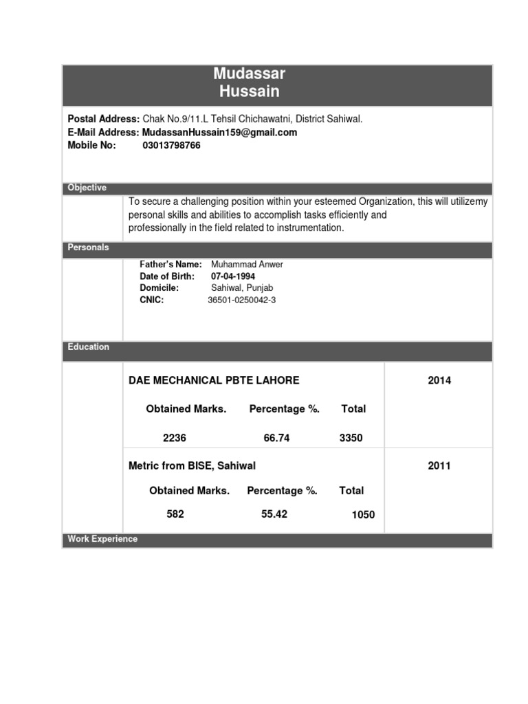 Mudassar CV | PDF | Energy Technology | Mechanical Engineering