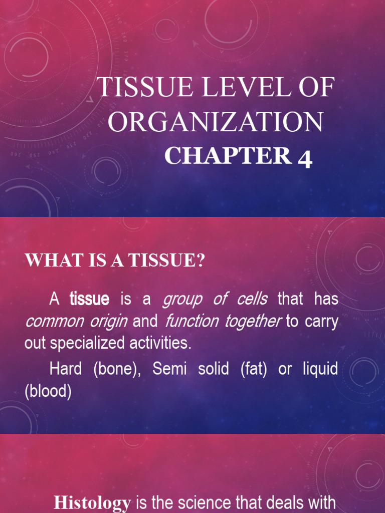 Tissue Level of Organization | Download Free PDF | Epithelium ...