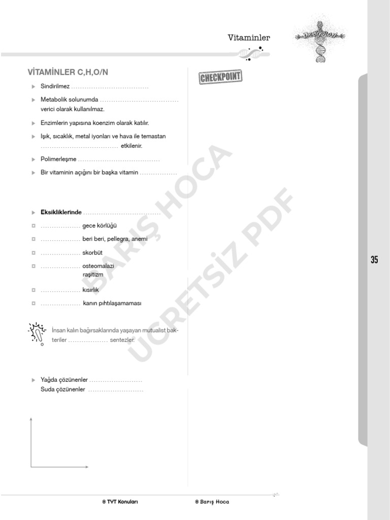 7 Vä°tamä°nler | PDF