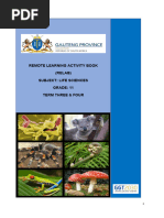 2025 ATP SS Grade 8 | PDF