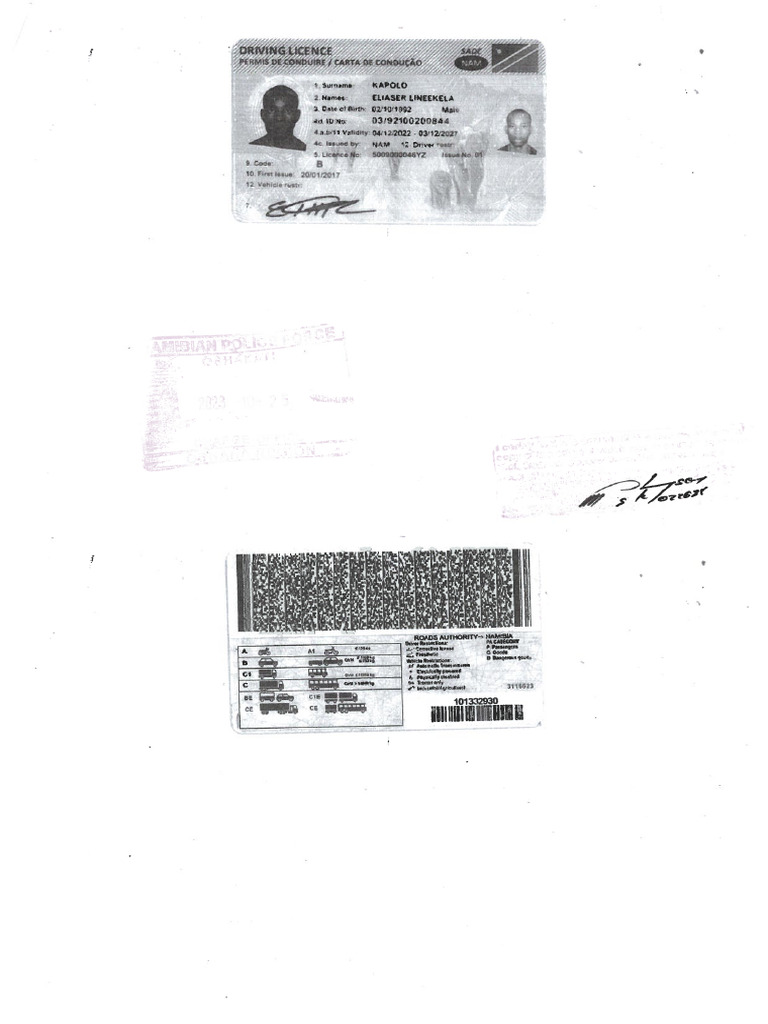 Driving Licence | PDF