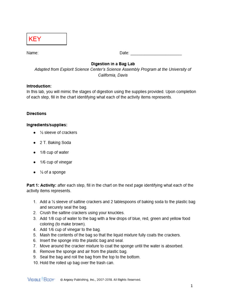 Key-Digestion in A Bag Lab | PDF | Gastrointestinal Tract | Digestion