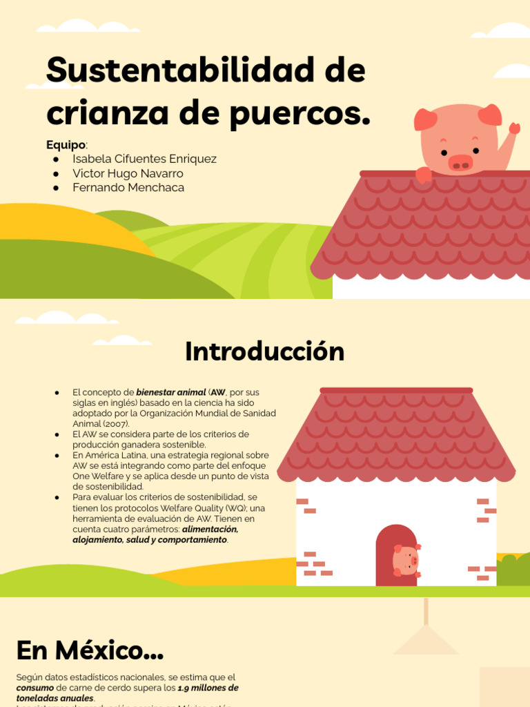 Sustentabilidad de La Crianza de Puercos | PDF | Sustentabilidad | Cerdo