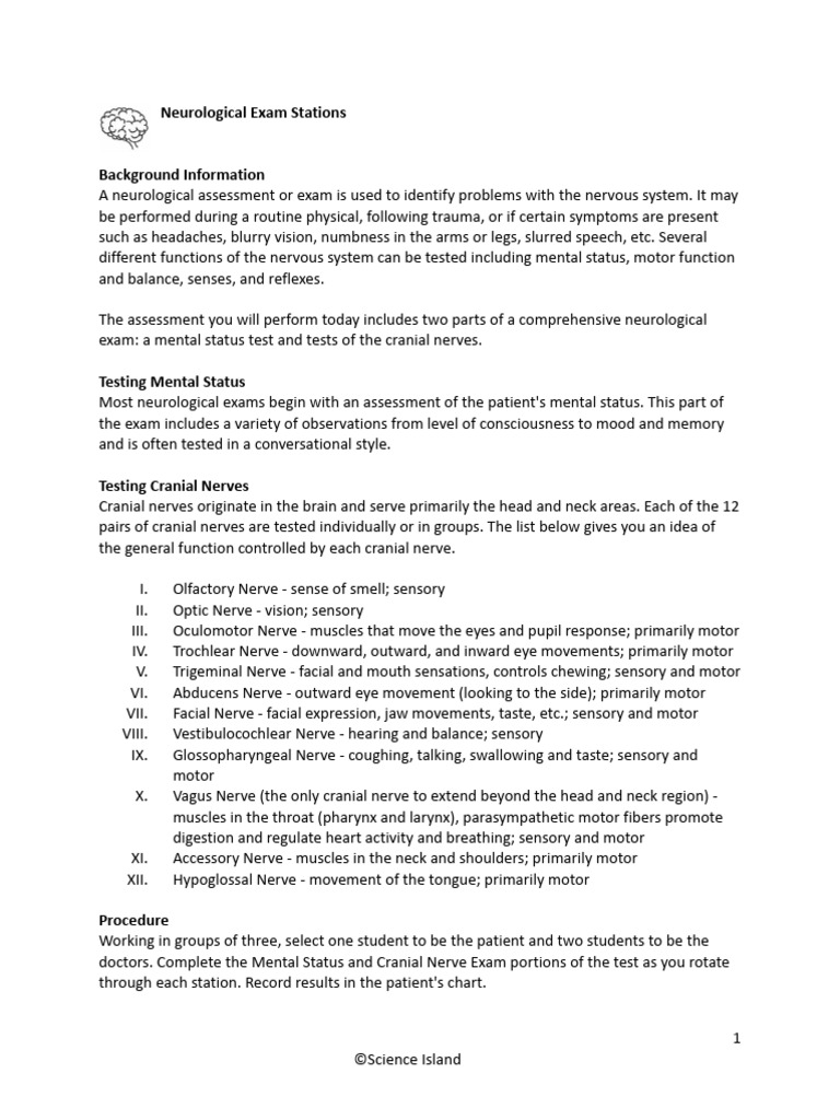 2 Neurological Assessment Activity | PDF | Neuroscience | Nervous System