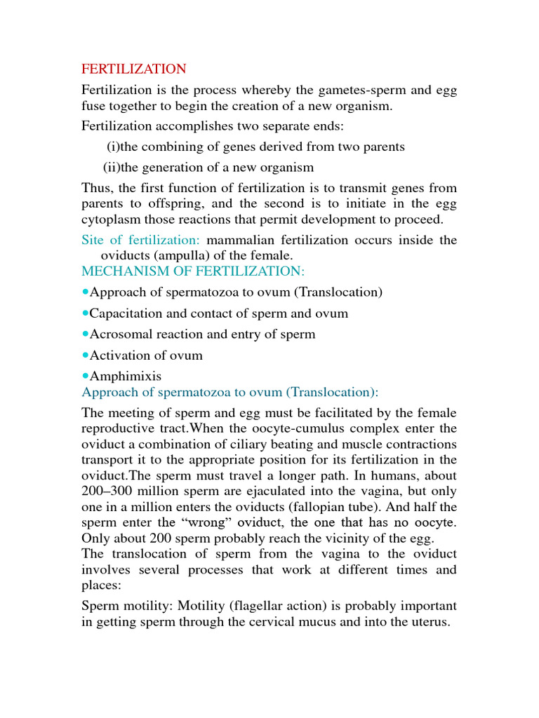 Fertilization | PDF | Fertilisation | Sperm