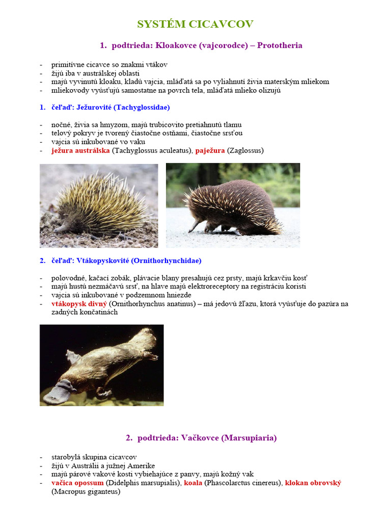 Stavovce - Cicavce II | PDF