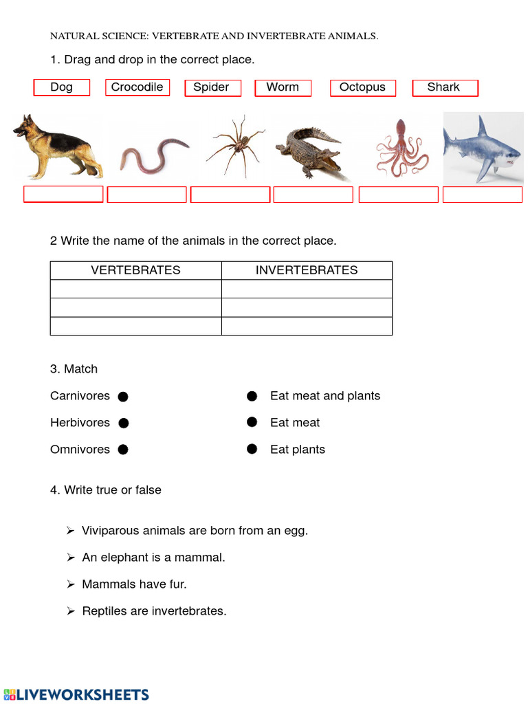 Vertebrates vs. Invertebrates Explained | PDF
