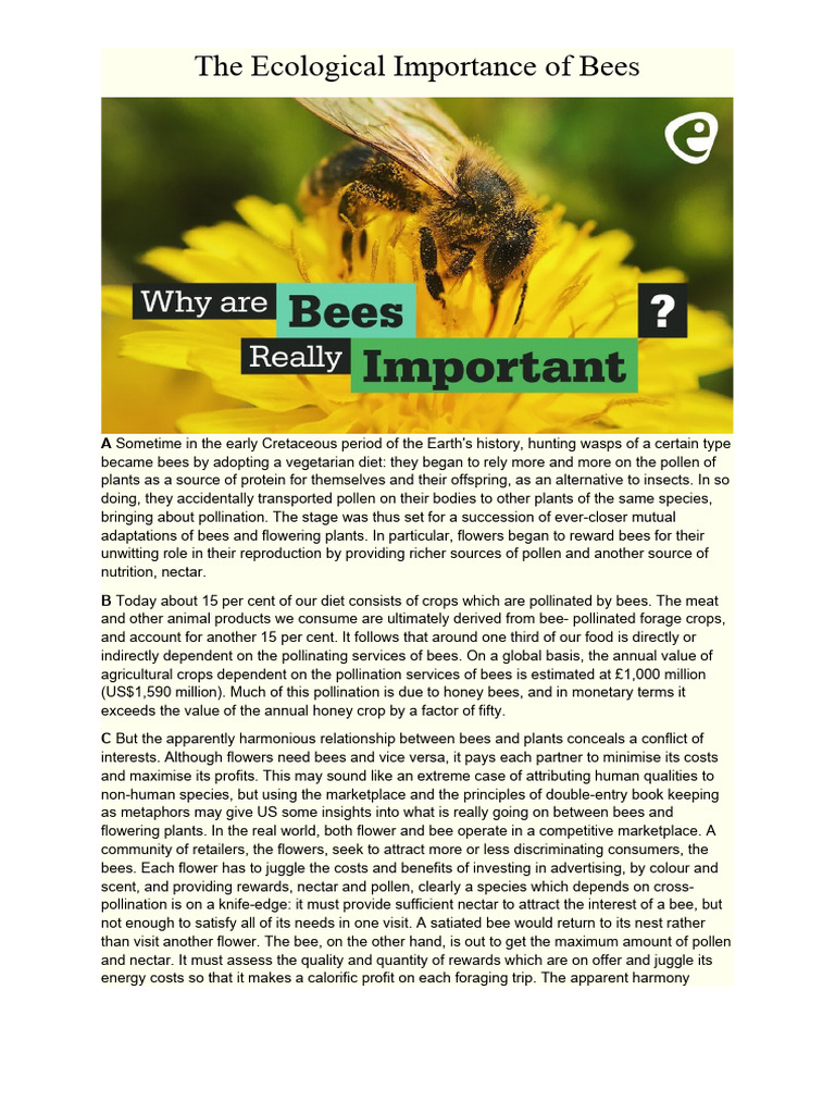 The Ecological Importance of Bees | PDF | Educational Technology ...