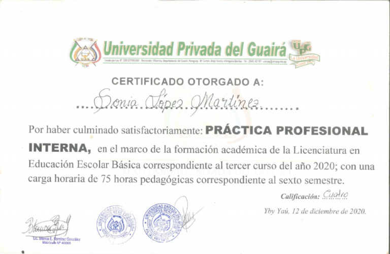 Practica Profesional Interna | PDF