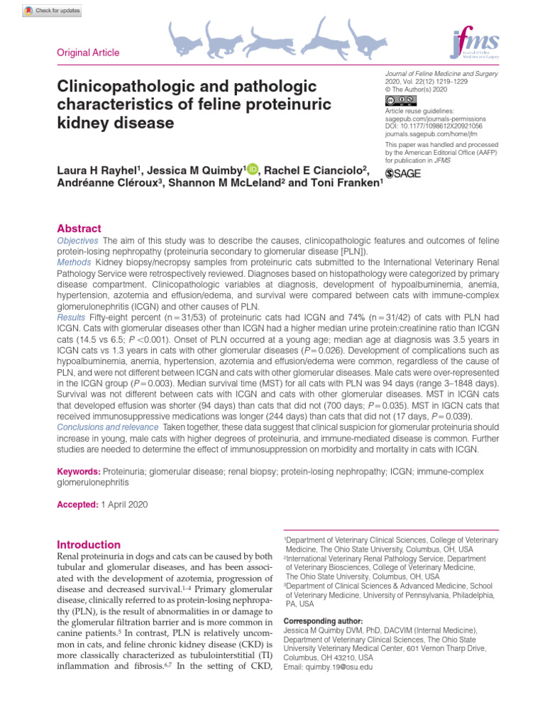 Rayhel Et Al 2020 Clinicopathologic and Pathologic Characteristics of ...