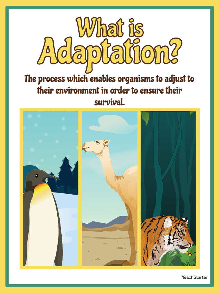 Behavioural Structuraland Physiological Adaptations Classroom Poster Pack Printable PDF | PDF