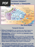 La Célula - Tráfico Vesicular Proteínas COP-I y COP-II | PDF | Retículo ...
