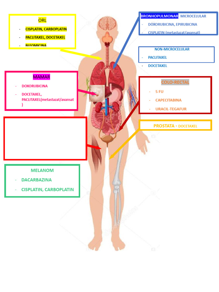 Citostatice Schema | PDF