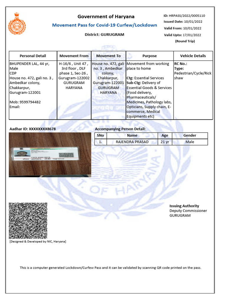 Haryana Movement Pass Report | PDF