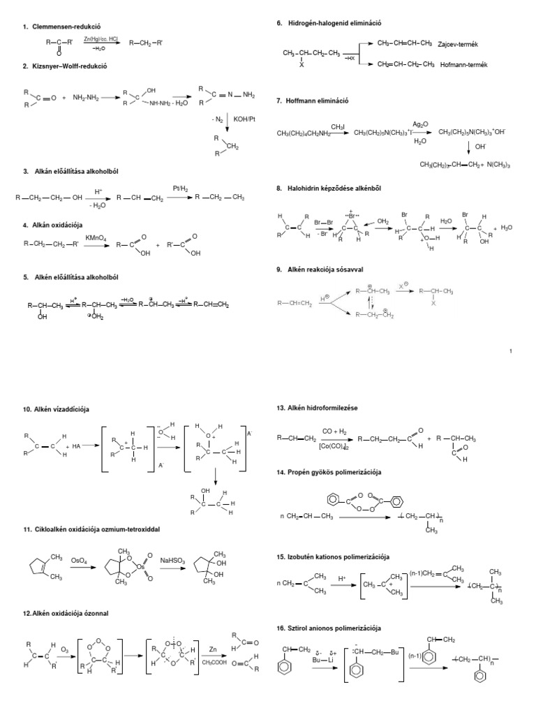 Reakciók Biológia BSC | PDF