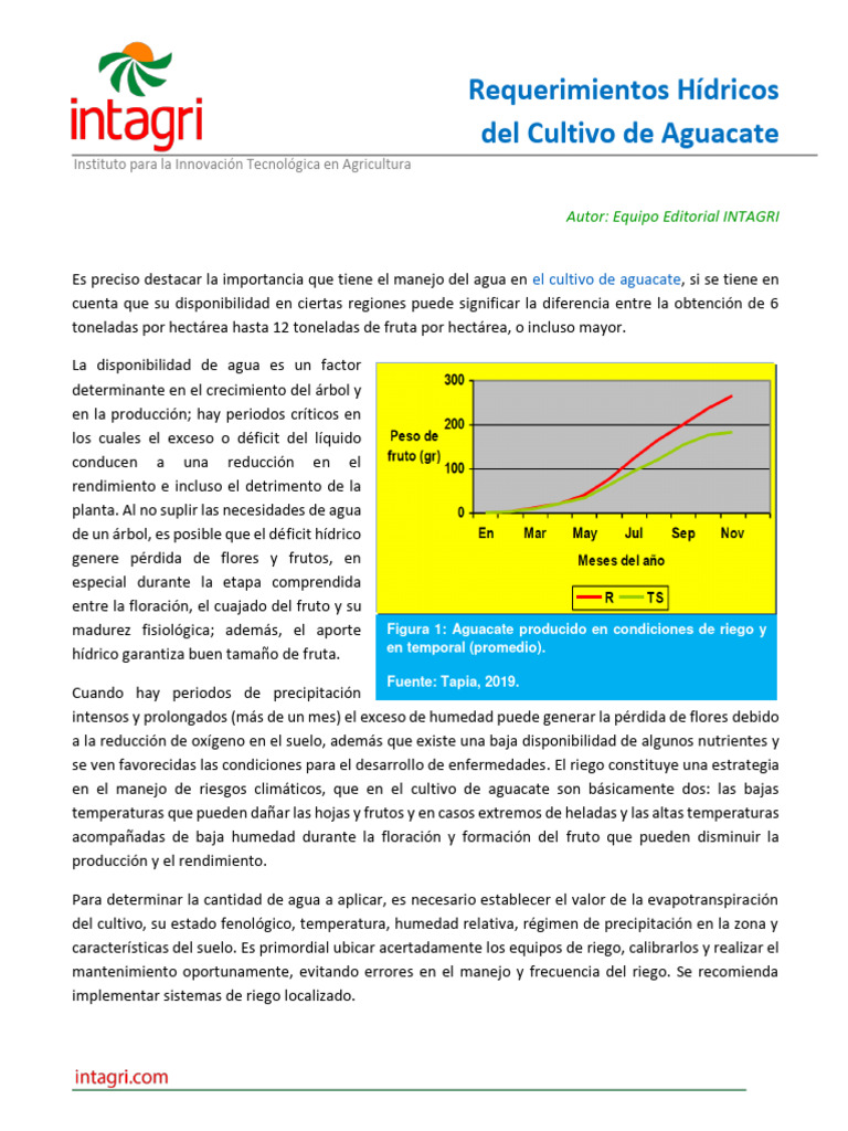 Requerimientos Hidricos Del Cultivo de Aguacate | PDF | Riego | Agua