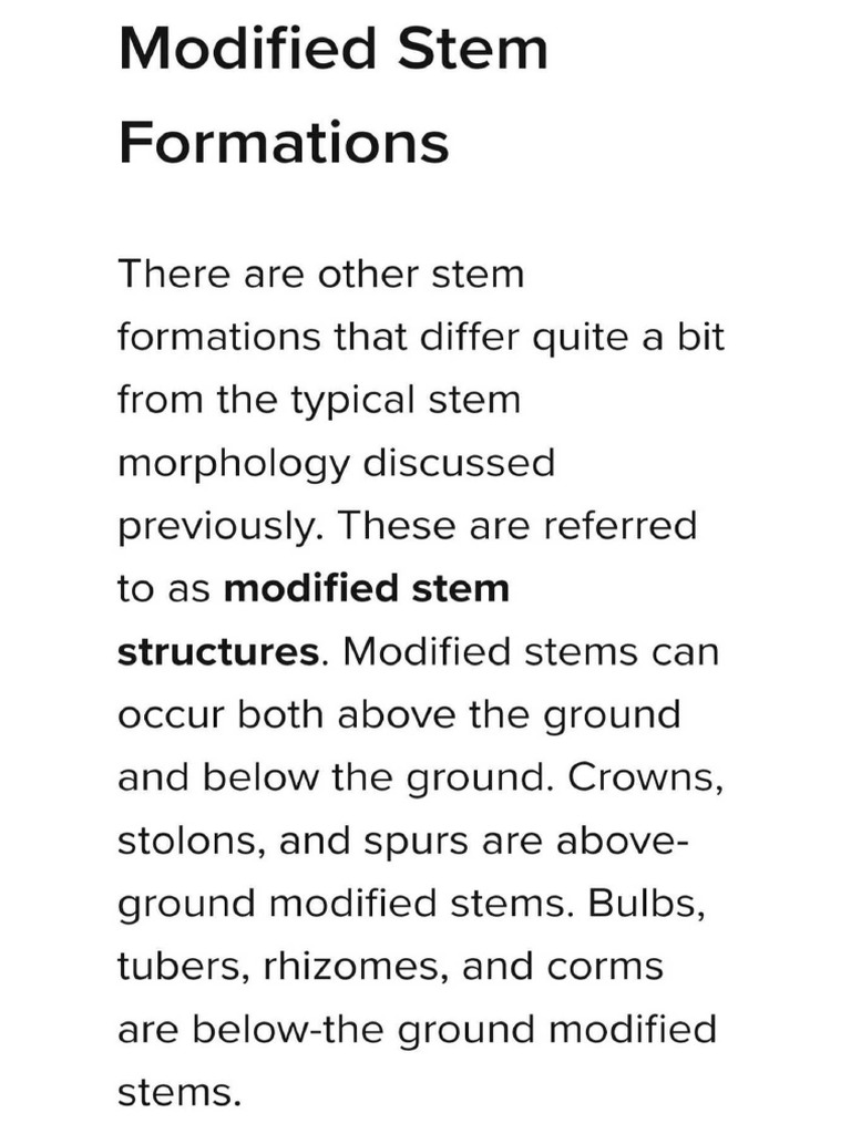 Modified Stems Formation! | PDF