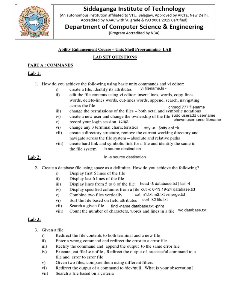 USP LabSetQuestions-Final | PDF | Computer File | Filename