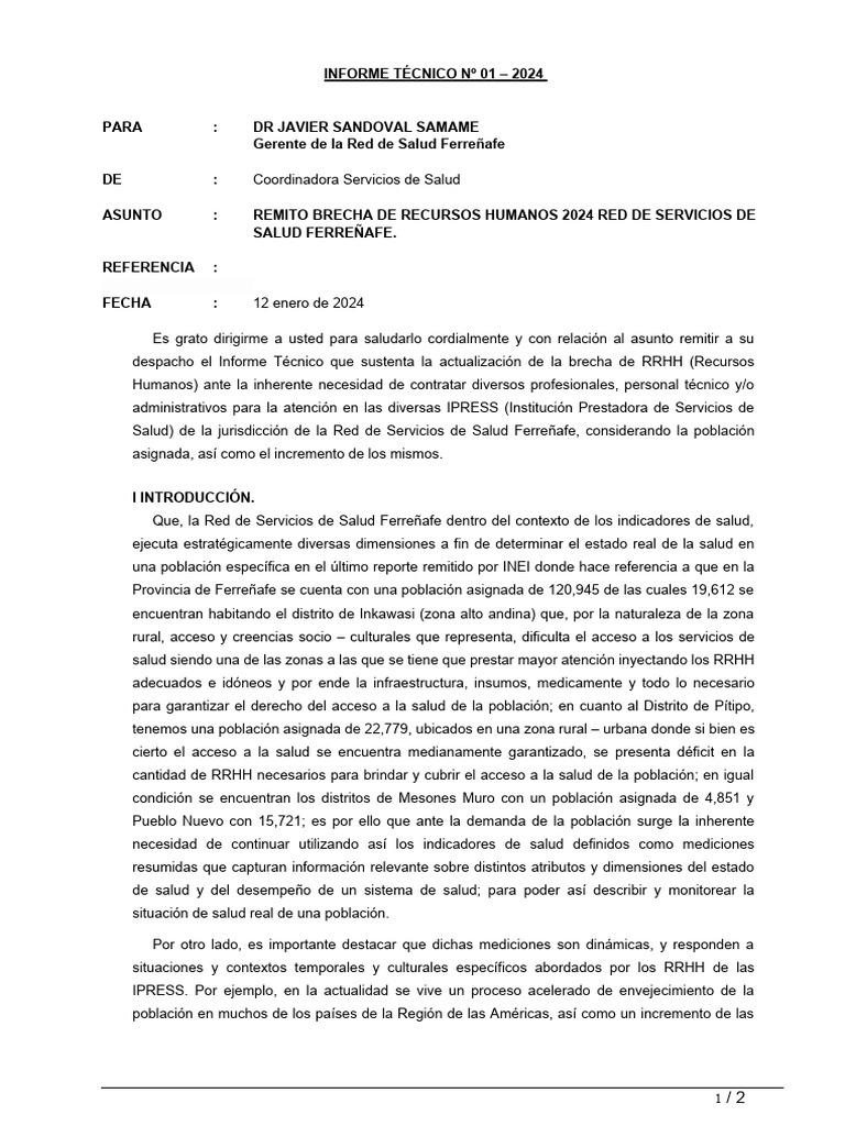 Informe Tecnico de Brecha de RRHH 2024 | PDF