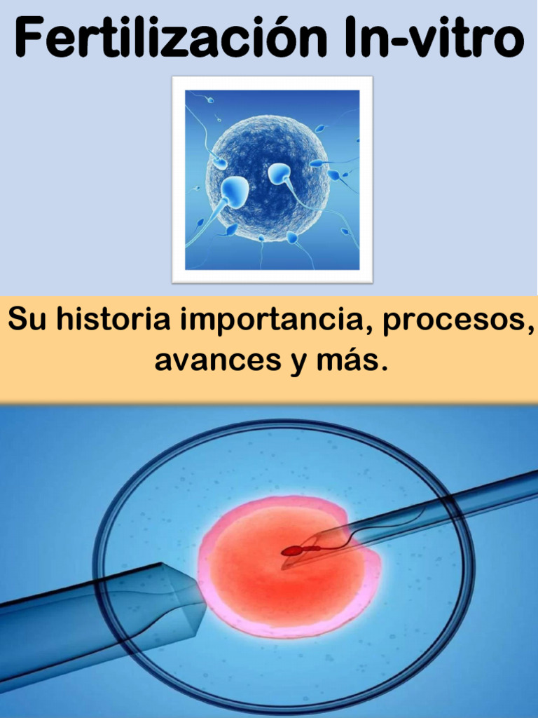 Fertilización In-Vitro WORD PROYECTO FINAL | PDF | Fertilización en ...