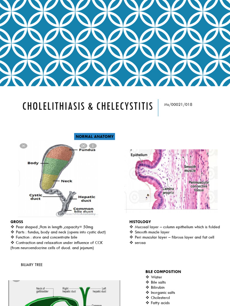 Gallstones and Cholecystitis Overview | PDF | Gallbladder | Bile