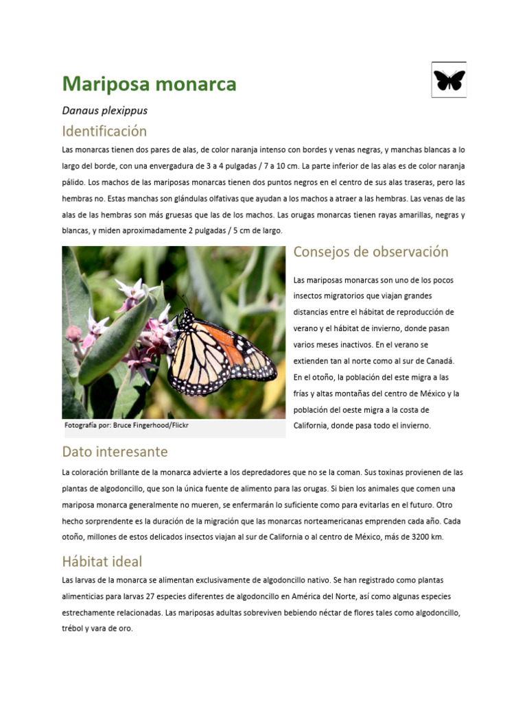 Spanish Monarch-Butterfly | PDF