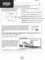 Amoeba Sisters Enzyme Handout | PDF | Enzyme | Catalase