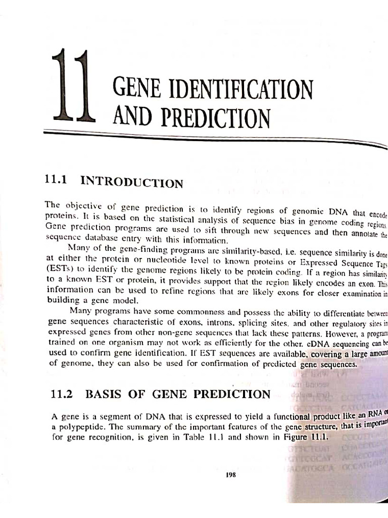 Gene Identification and Prediction | PDF