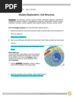 Amoeba Sisters - Intro To Cells Recap | PDF | Cell (Biology ...