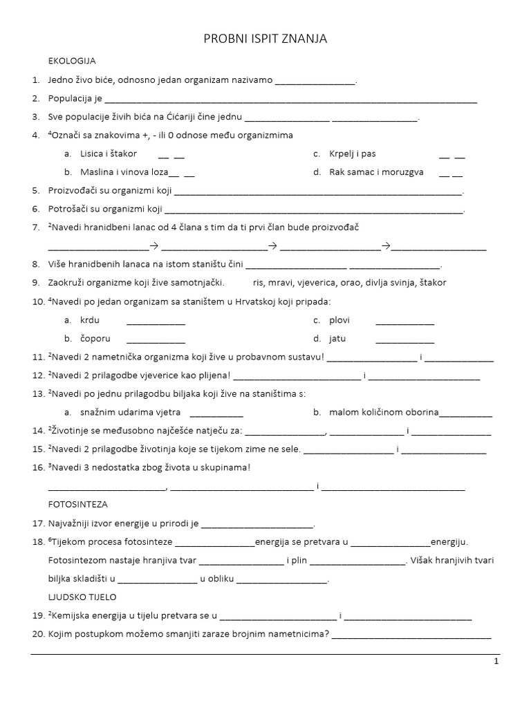 PRI - Probni Ispit Znanja - II. Cjelina - 24 | PDF