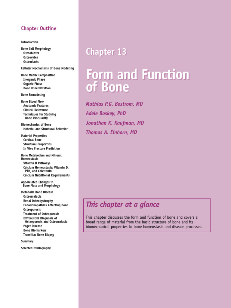 Obs-13 240122 184549 | PDF | Bone | Osteoblast