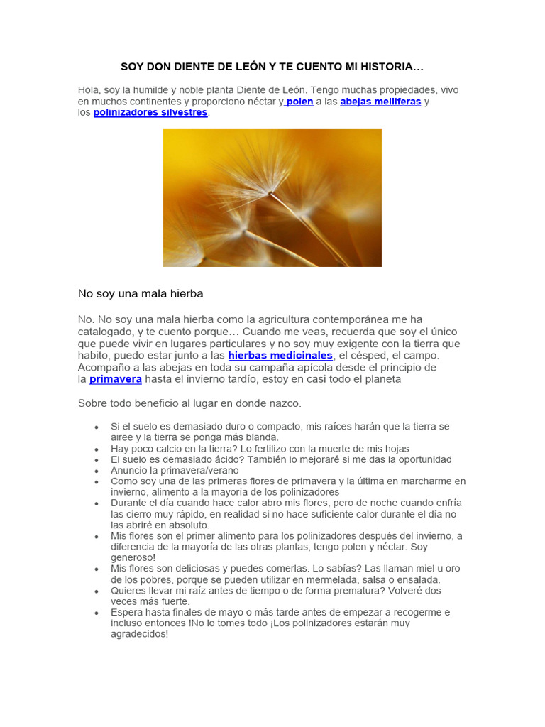 Soy Don Diente de León y Te Cuento Mi Historia | PDF | café | Té