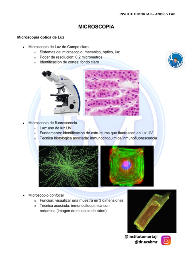 Microscopía (Manual) | PDF | Microscopio | Resolución angular