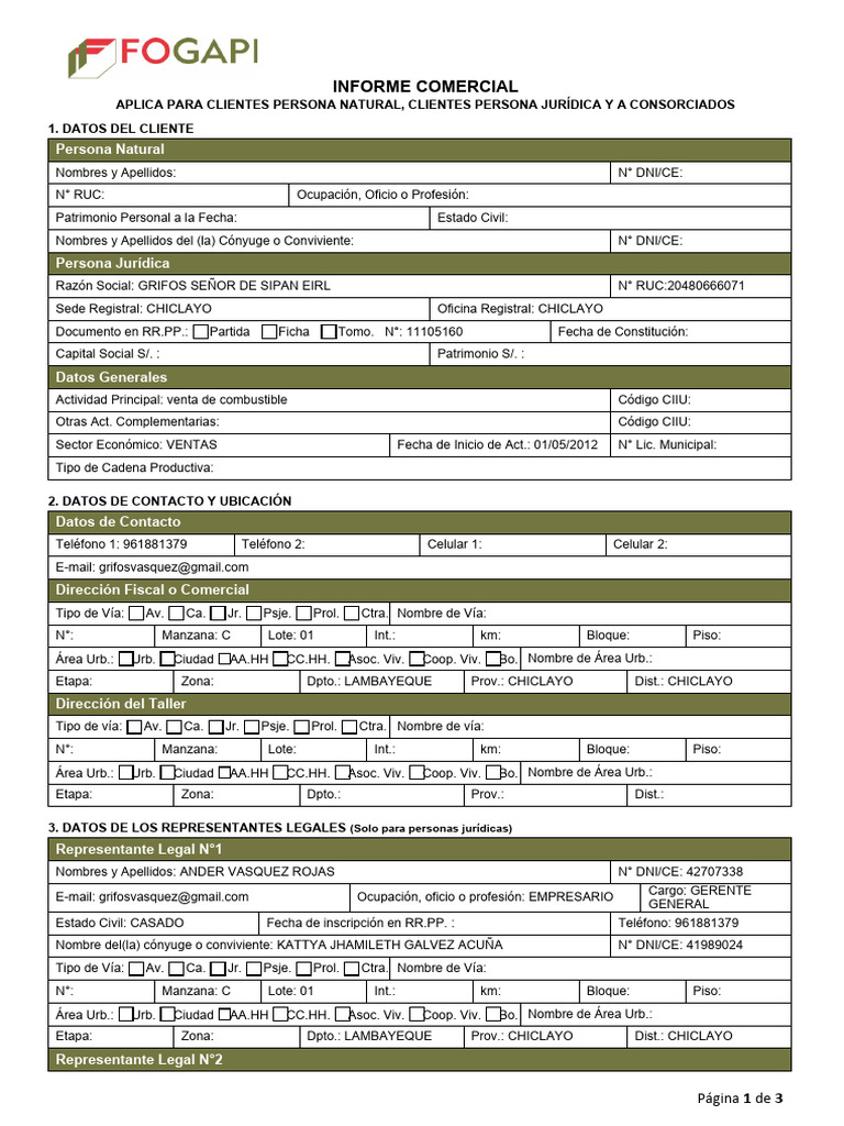 Informe Comercial FOGAPI | PDF | Negocios económicos | Justicia